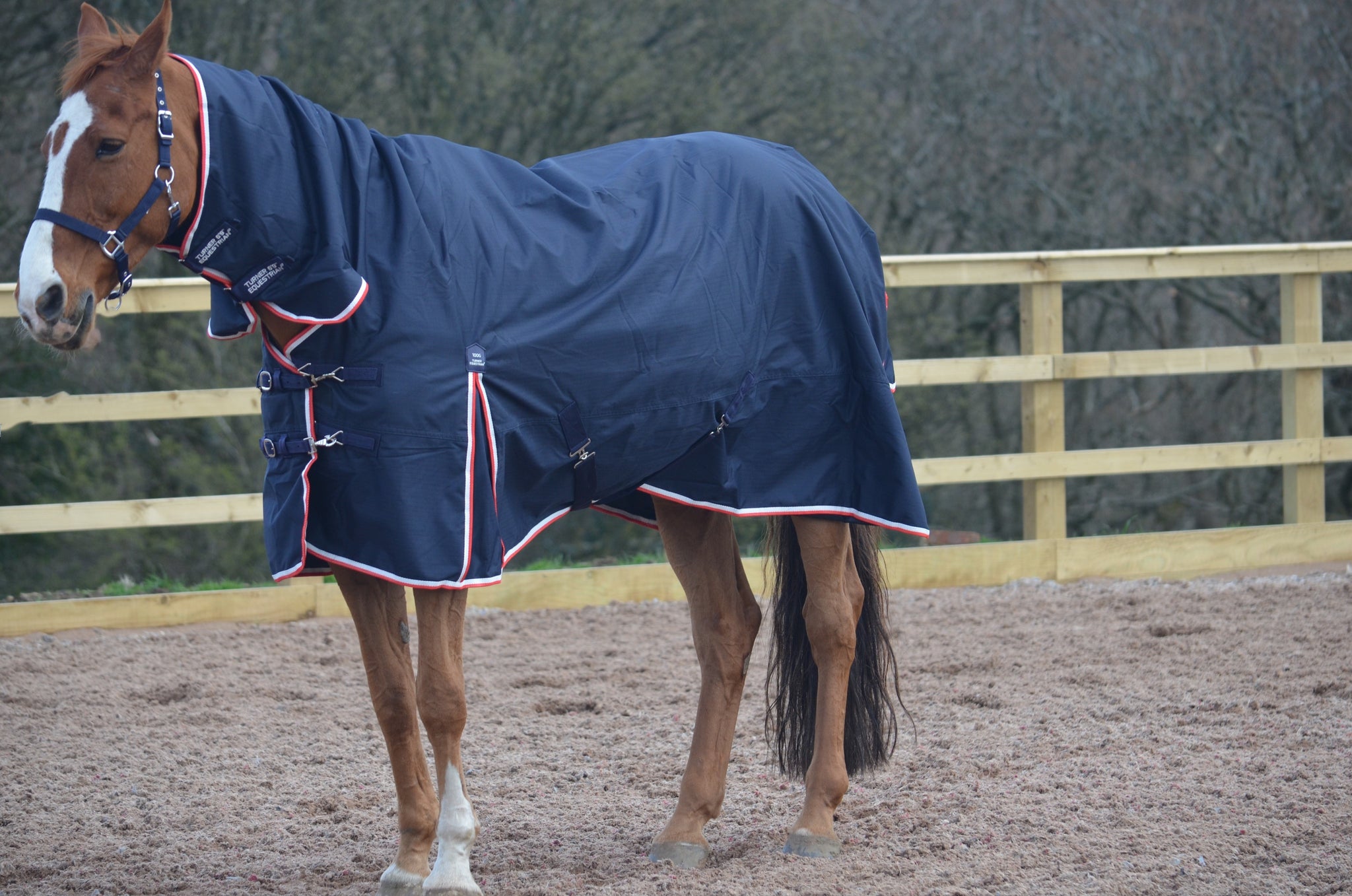 Lightweight Combo 600d Denier Turnout Rug 100g Fill Navy – Turner ...